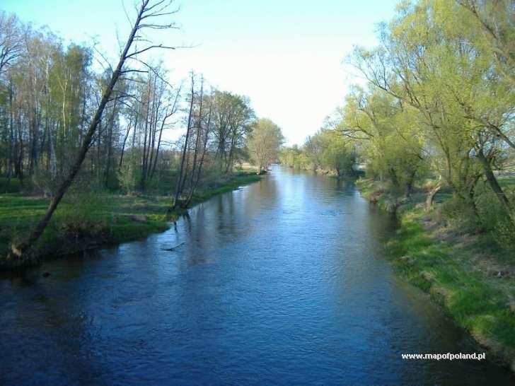Rzeka Pilica latem w Przedborzu - zdjęcie 104/146