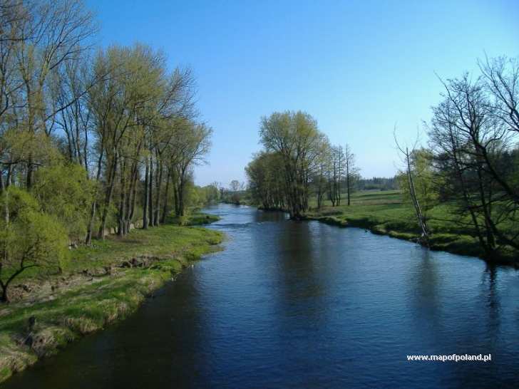 Rzeka Pilica latem w Przedborzu - zdjęcie 103/144