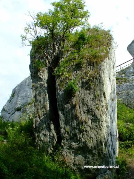 Góra Birów w Ogrodzieńcu - zdjęcie 10/83 - Ogrodzieniec