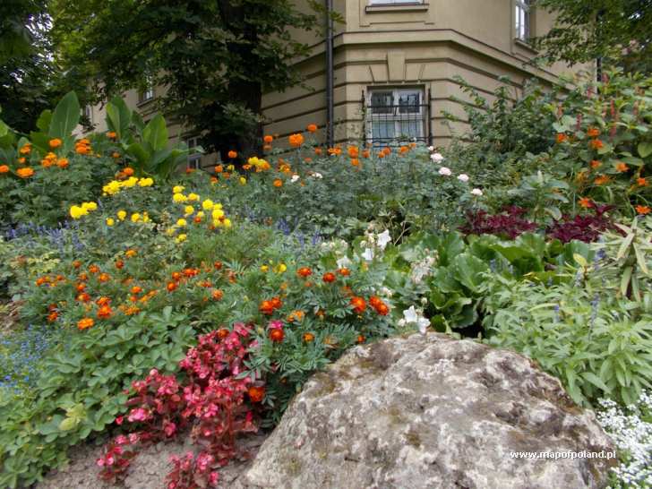 Ogrody zamkowe w Łańcucie - zdjęcie 15/66 - Łańcut