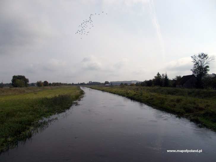 Rzeka Pilica w Koniecpolu - zdjęcie 23/31 - Koniecpol