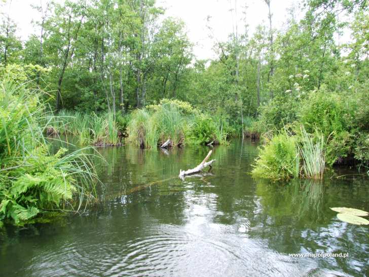 Mapa Chodcza z ulicami - plan miasta Chodecz