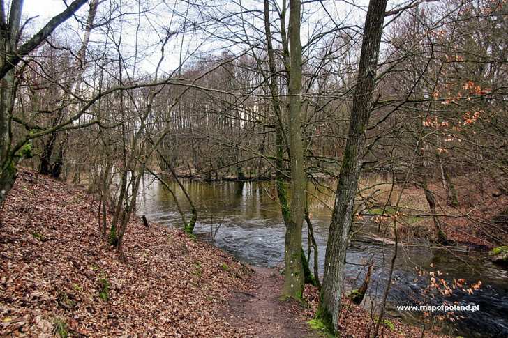 Rzeka Drawa w Złocieńcu - zdjęcie 26/44 - Złocieniec