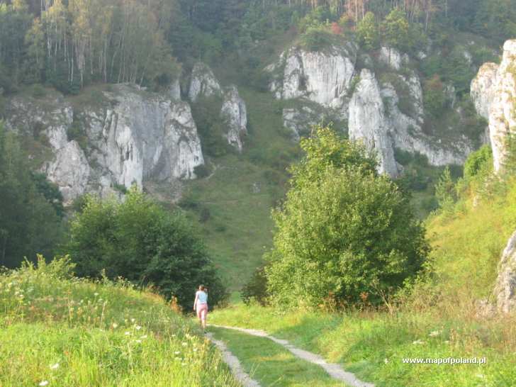 Dolinki Krakowskie - Kobylany - zdjęcie 9/10