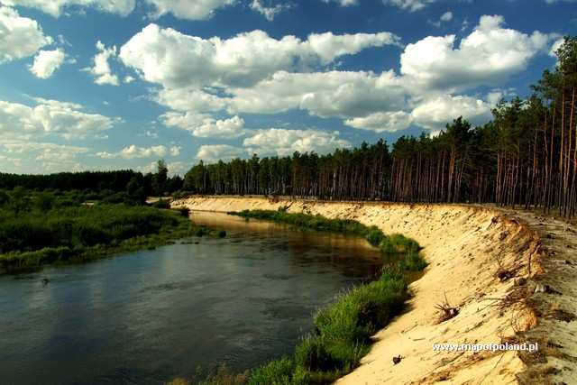 Rzeka Pilica w Przedborzu - zdjęcie 95/144 - Przedbórz