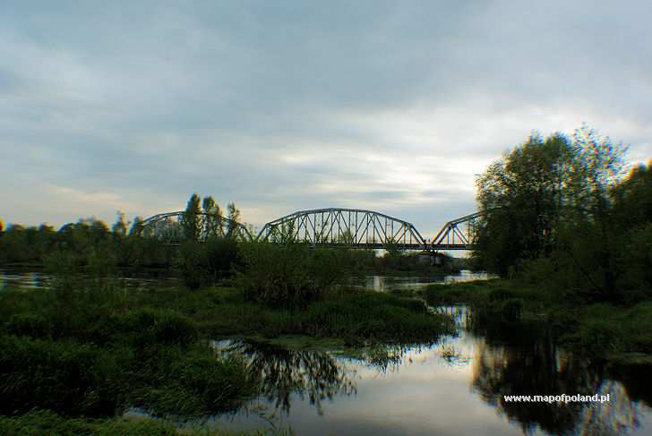 Rzeka Pilica w Warce - zdjęcie 57/66 - Warka