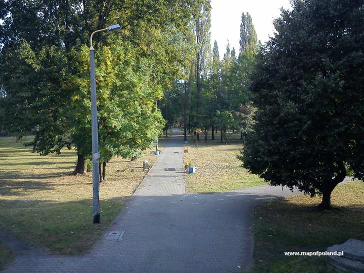 Park przy ulicy Podjazdowej w Sosnowcu - zdjęcie 366/743 Park przy ulicy Podjazdowej w Sosnowcu - zdjęcie 366/743