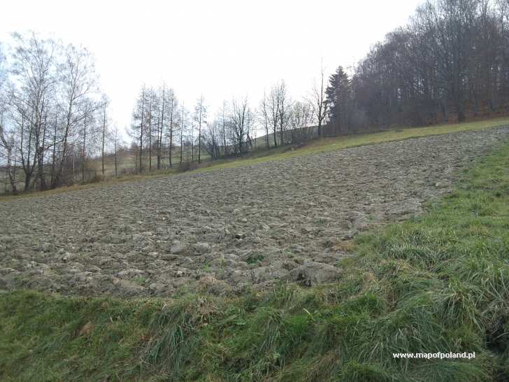 Zaorane pole na Mikołasce - Roztoka Ryterska - zdjęcie 49/54