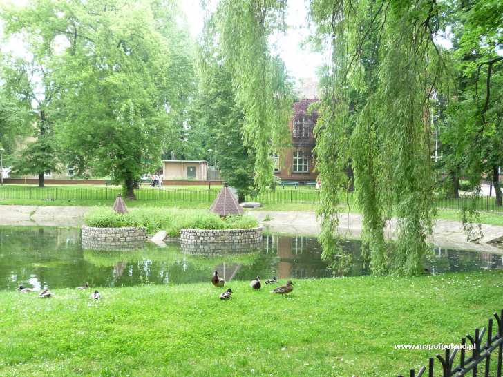 Plac Kościuszki W Lesznie Leszno Zdjęcie 262340