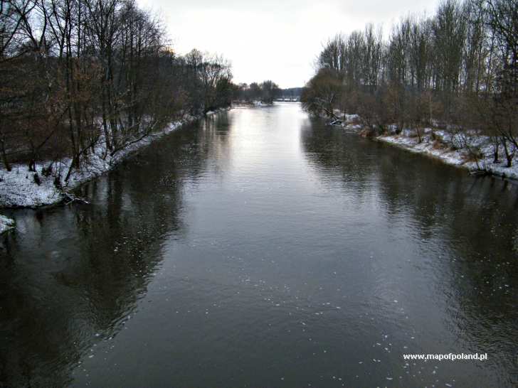 Rzeka Pilica w Tomaszowie Mazowieckim - zdjęcie 159/236