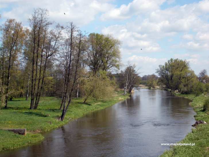 Rzeka Pilica w Przedborzu - zdjęcie 98/144 - Przedbórz